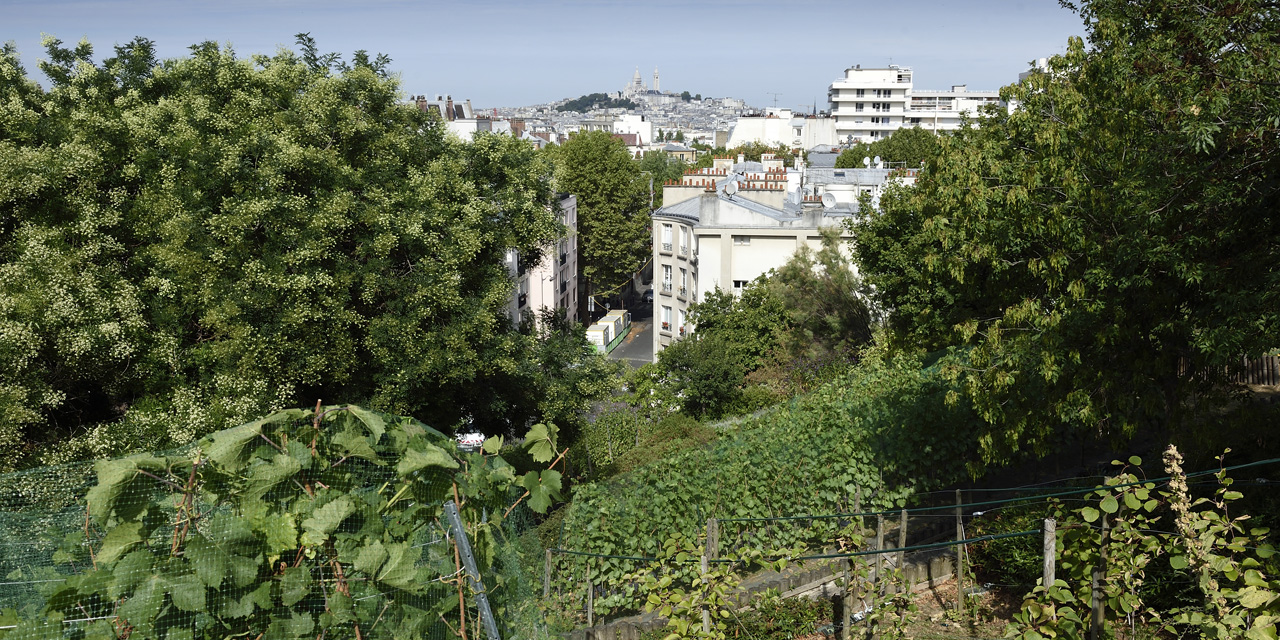 Paris : Hidalgo veut 100 hectares de végétation en plus à Paris d'ici 2020