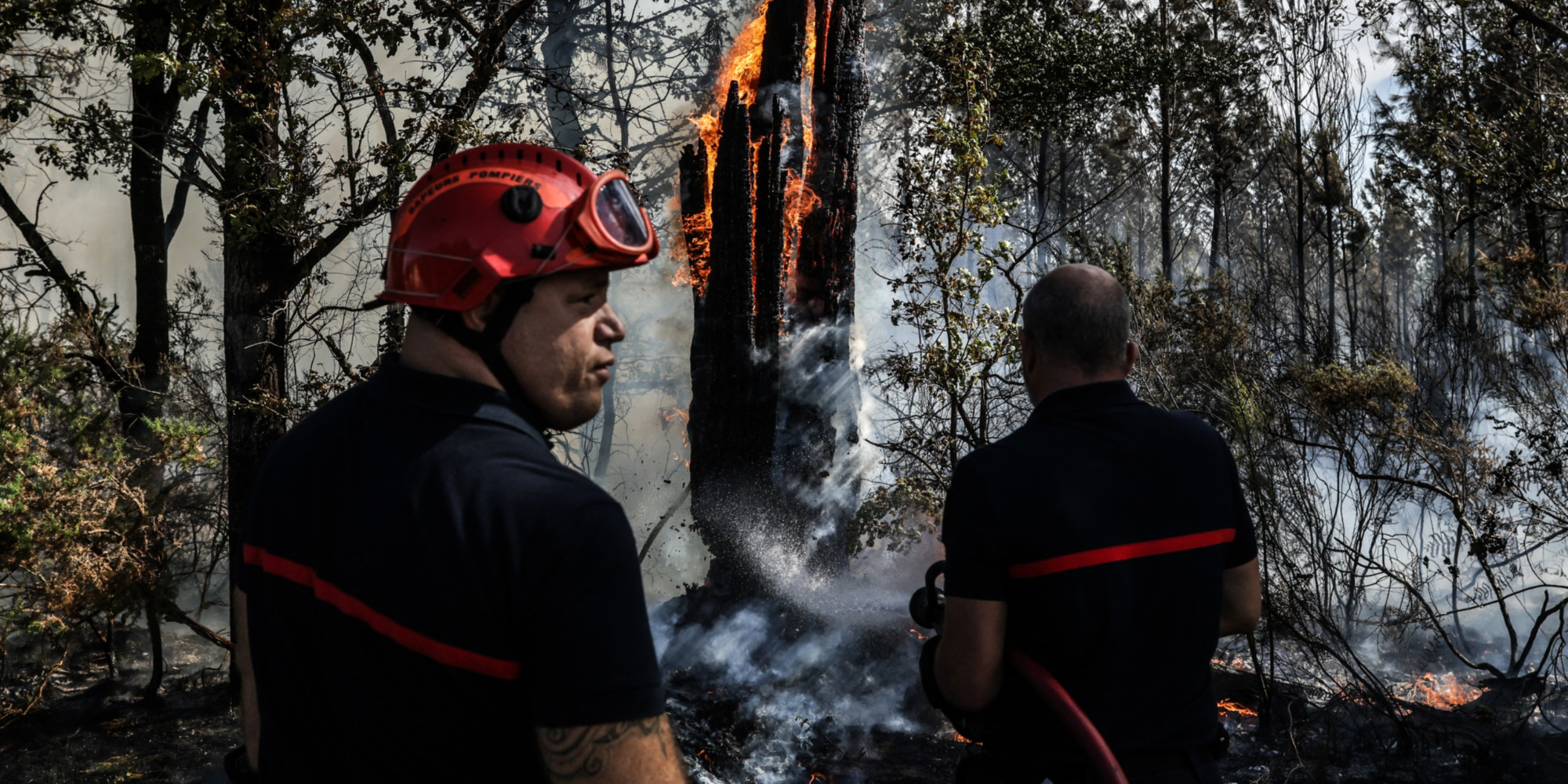 Pyrénées-Orientales : plus de 930 hectares de végétation parcourus par un incendie