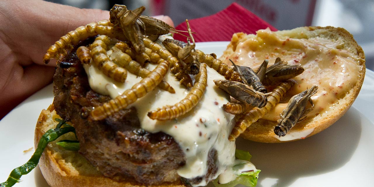 Que mangerons-nous en 2050