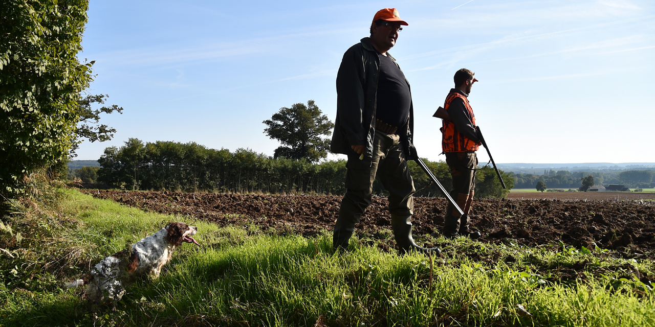 Réforme du permis de chasse : quelles conséquences pour l’environnement
