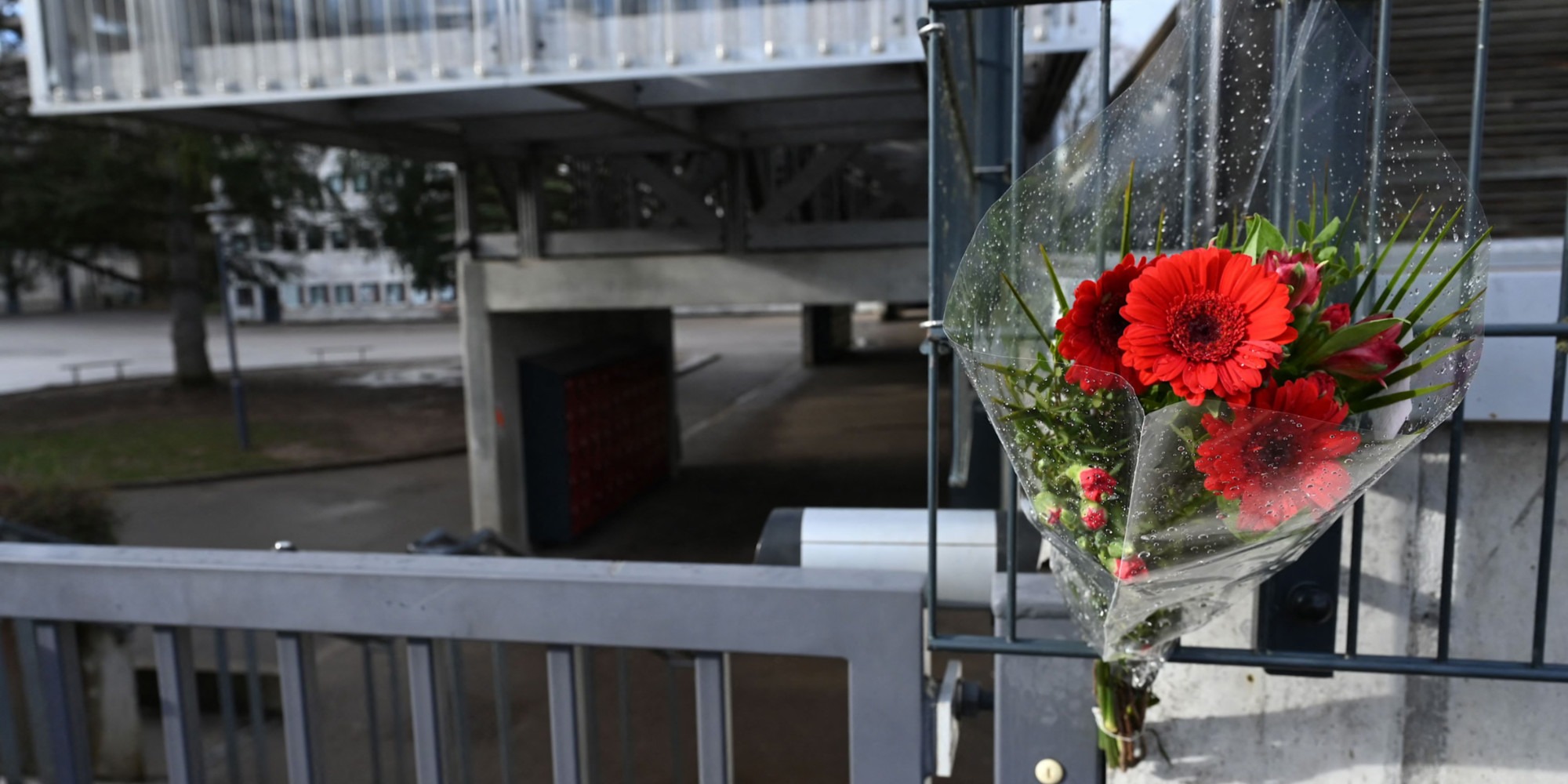 Suicide De Lindsay Un Mois Après Le Drame Des Enseignants De Son