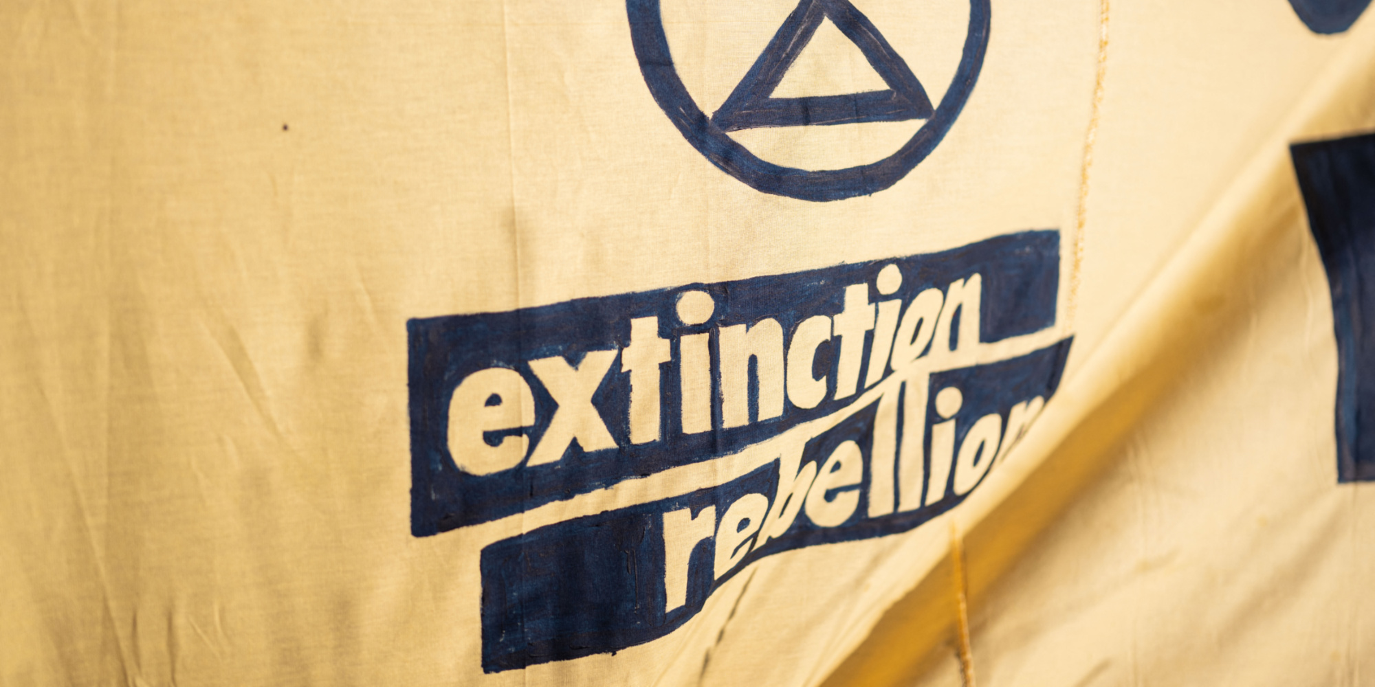 Toulouse : Extinction Rébellion prépare une action «Rino Féroce» contre ...