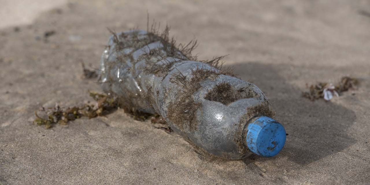 Une marche à Paris pour dénoncer la pollution des océans