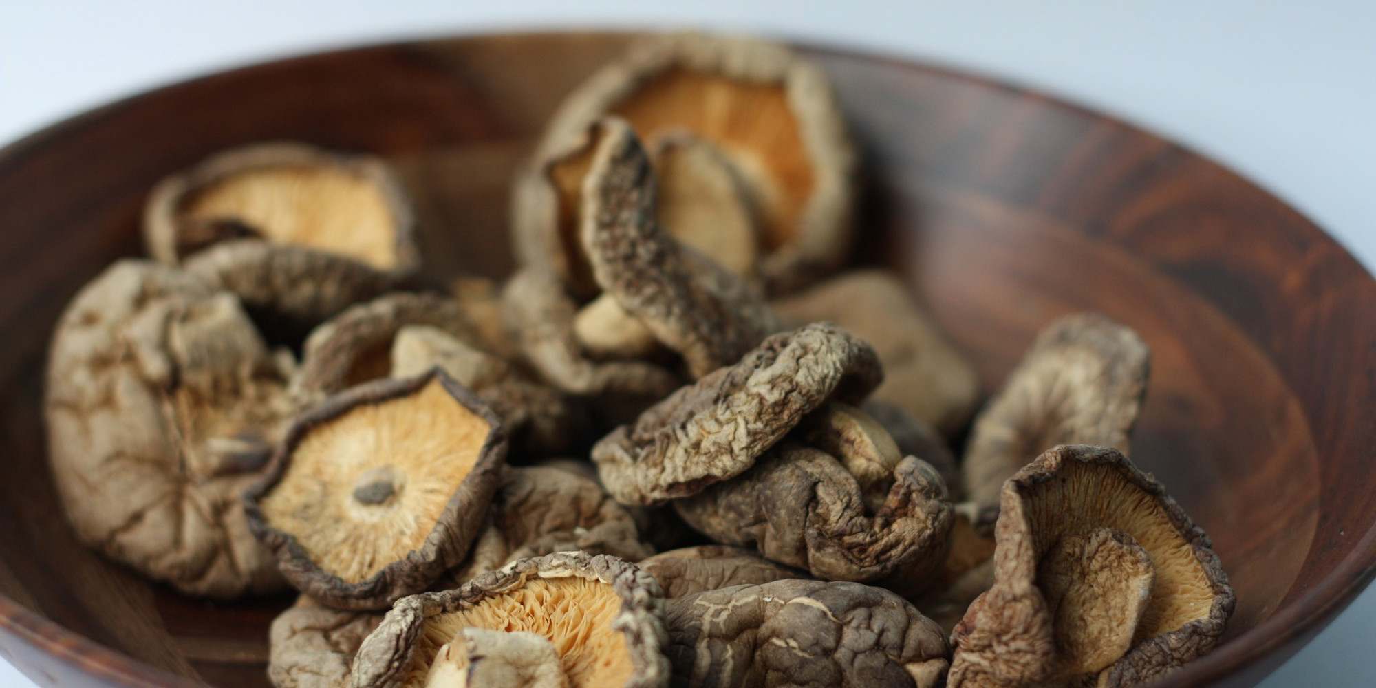 Zoom sur le Shiitake français, un champignon de plus en plus apprécié