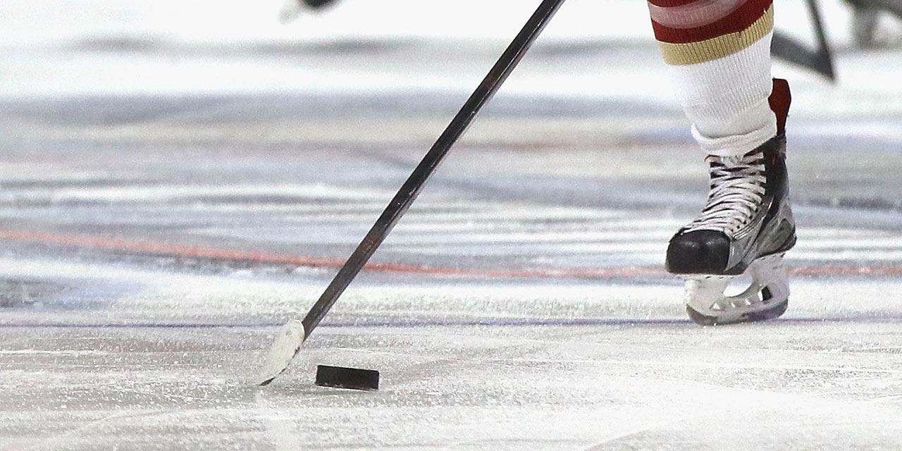 Hockey sur glace : Gap champion de France